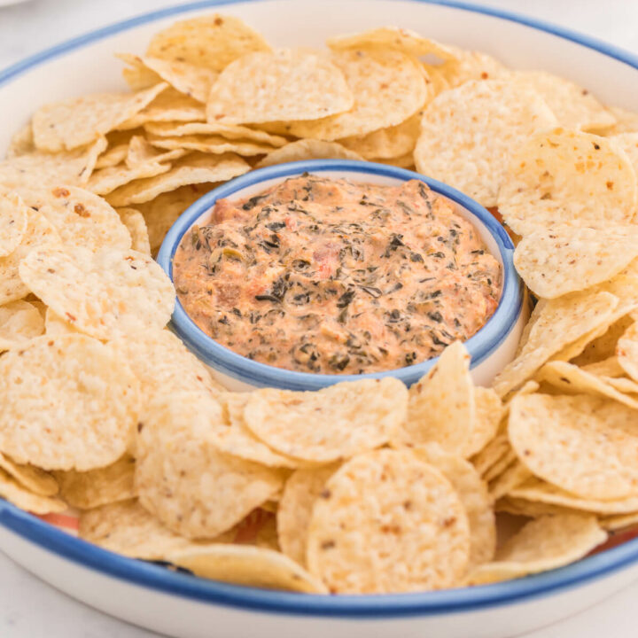 Tex-Mex Spinach Dip - Simply Stacie