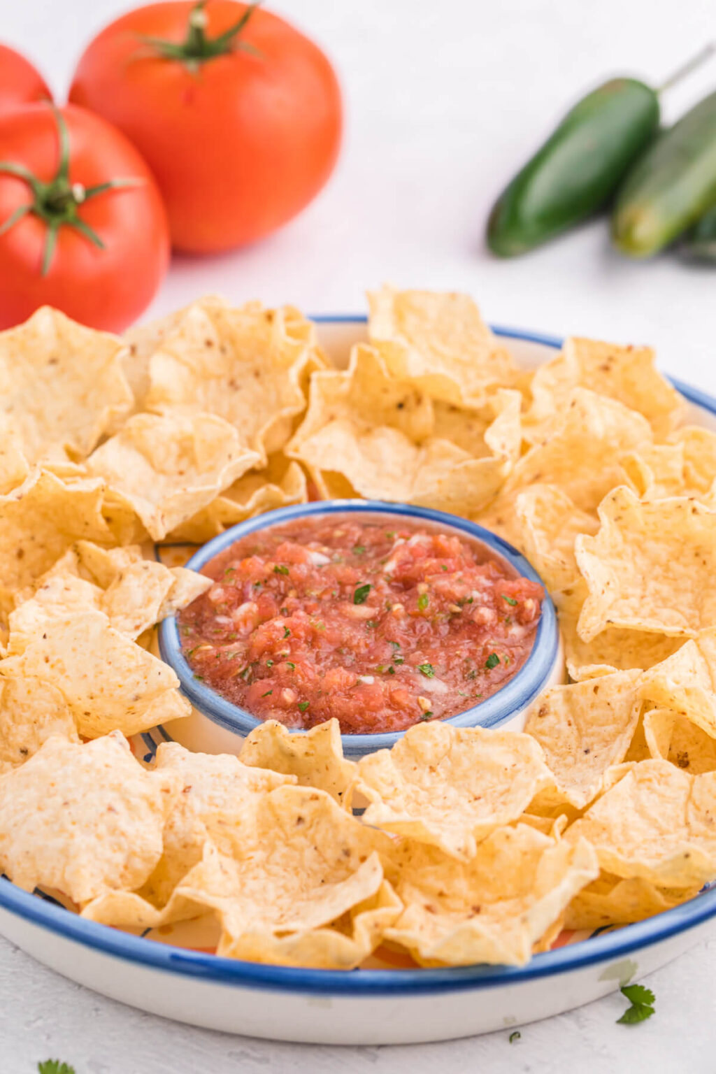 Fresh Homemade Garden Salsa Recipe {So Easy!} - Simply Stacie