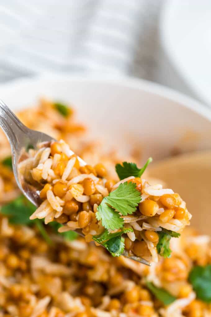 Curried Lentil Rice {Healthy + Delicious} - Simply Stacie