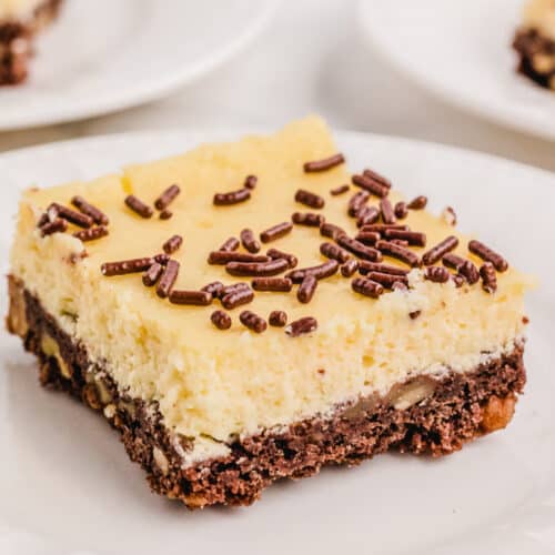 Cheesecake Squares with Chocolate Nut Crust - Simply Stacie