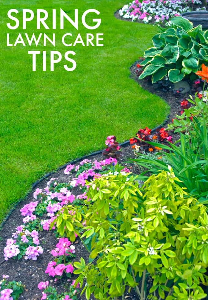 7 Spring Lawn Care Tips - Simply Stacie 7 Spring Lawn Care Tips - Simply Stacie